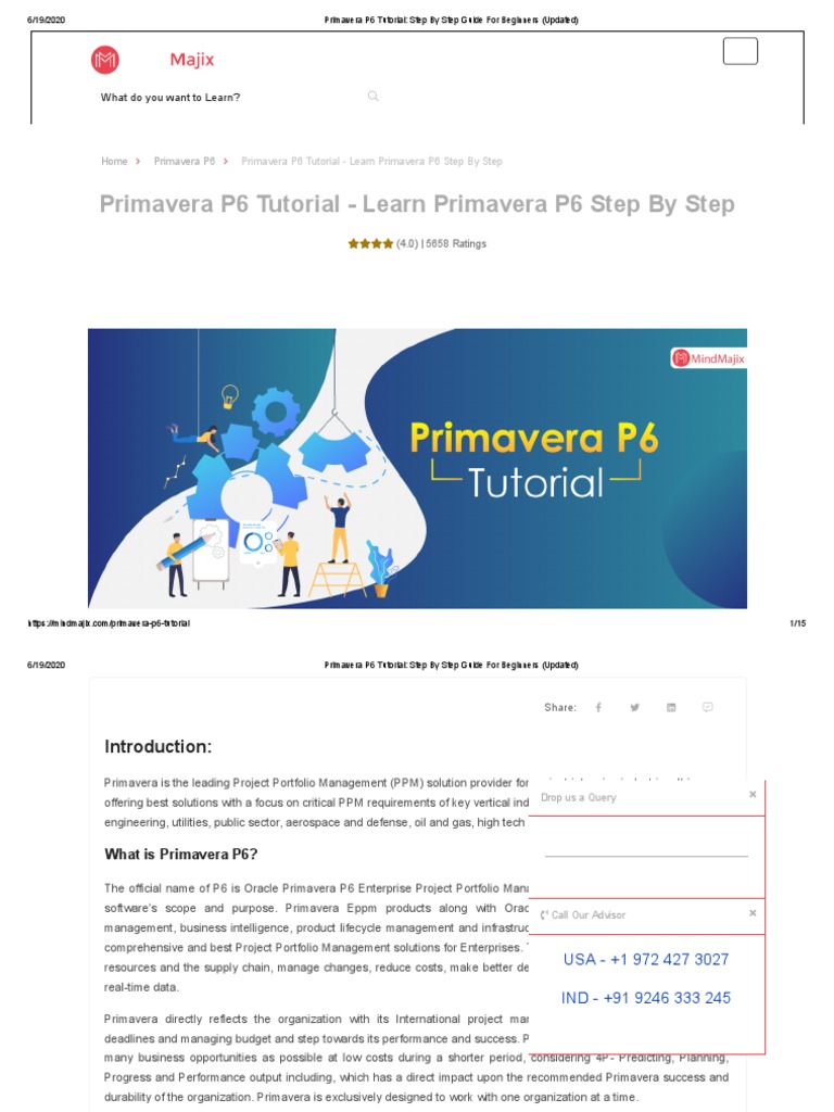 Primavera P6 Tutorial - Step by Step Guide For Beginners (Updated) | PDF | Project Management ...