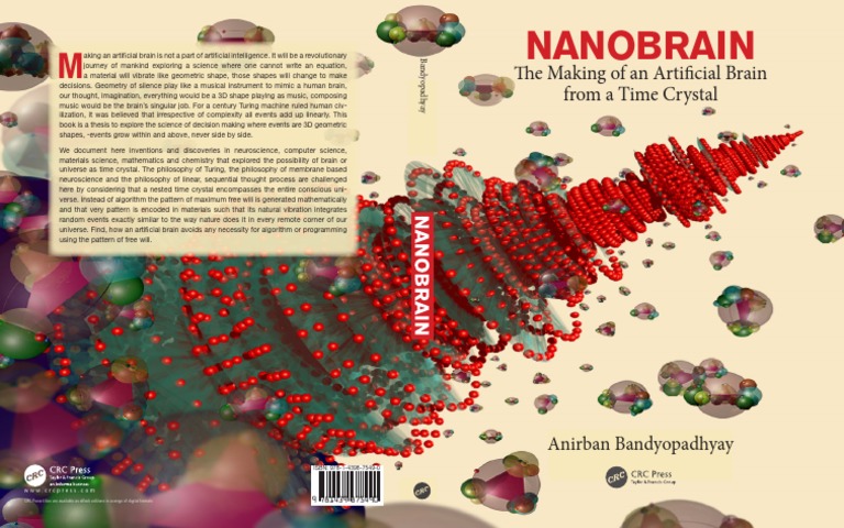 Nanobrain: Crafting a Time Crystal Brain | PDF | Brain | Algorithms