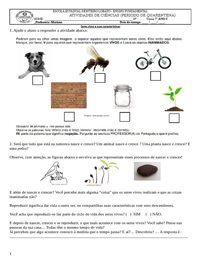 Ciencias 7C Atividades Adap1 | PDF