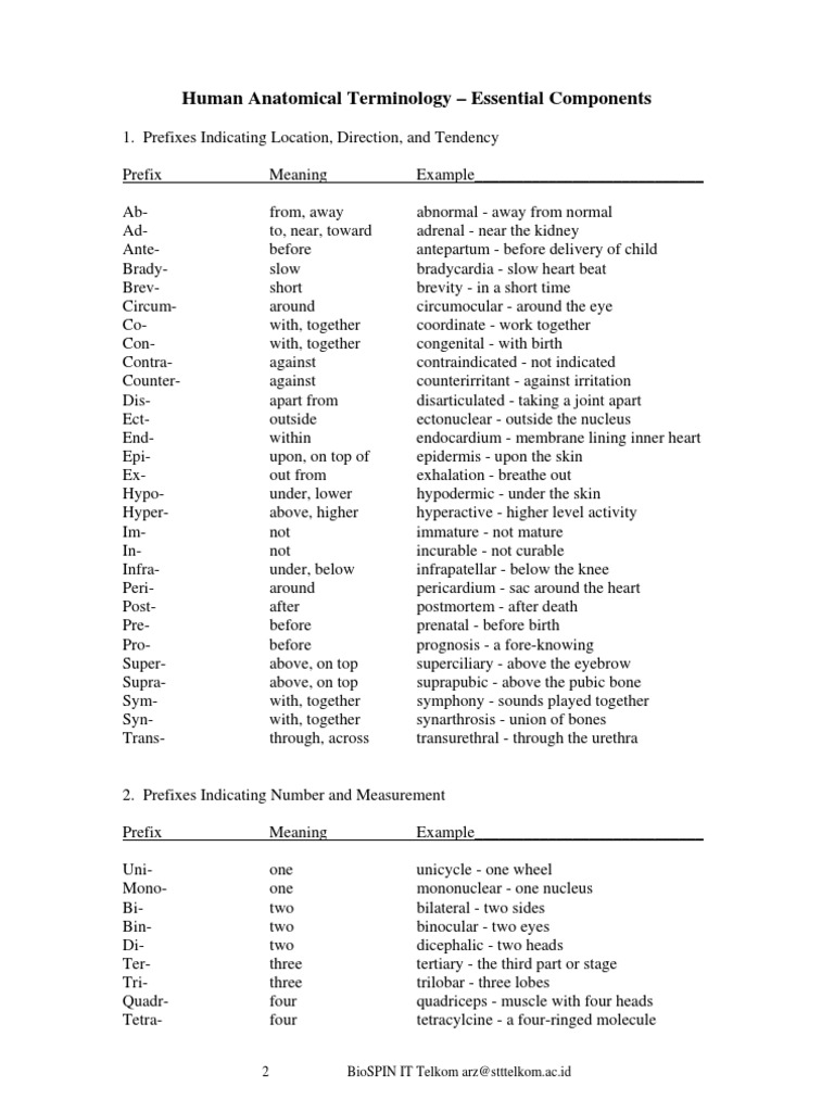 Anatomy Terminology | PDF | Thorax | Larynx