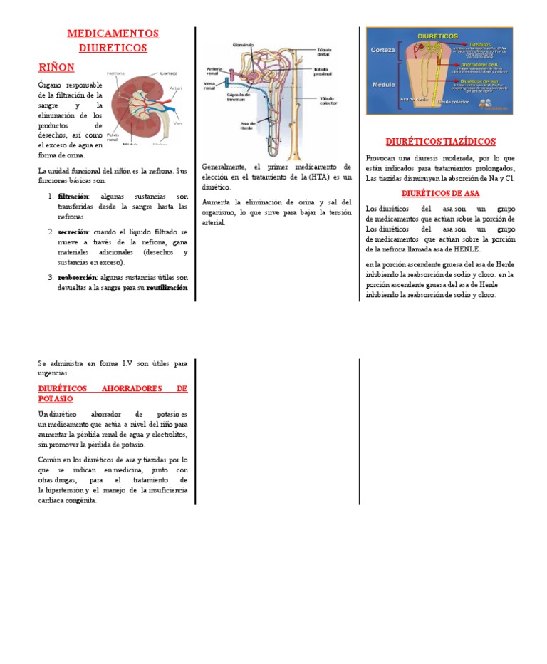 Medicamentos Diureticos | PDF | Riñón | Drogas