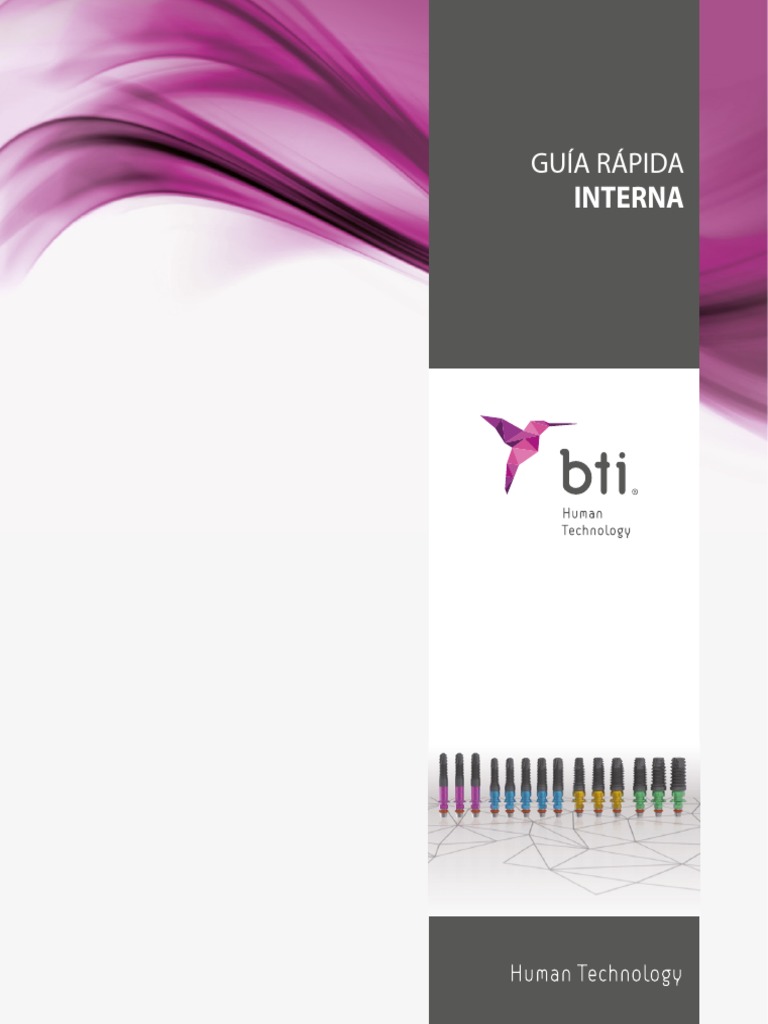 BTI Guia Rapida Interna | PDF