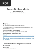 Kitty Magic | PDF | Anesthesia | Surgery