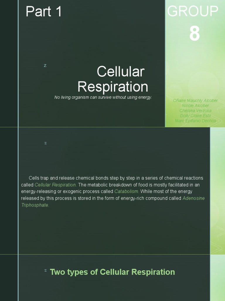 General Biology 1 - Power Point Presentation (Group 8) | PDF | Cellular ...