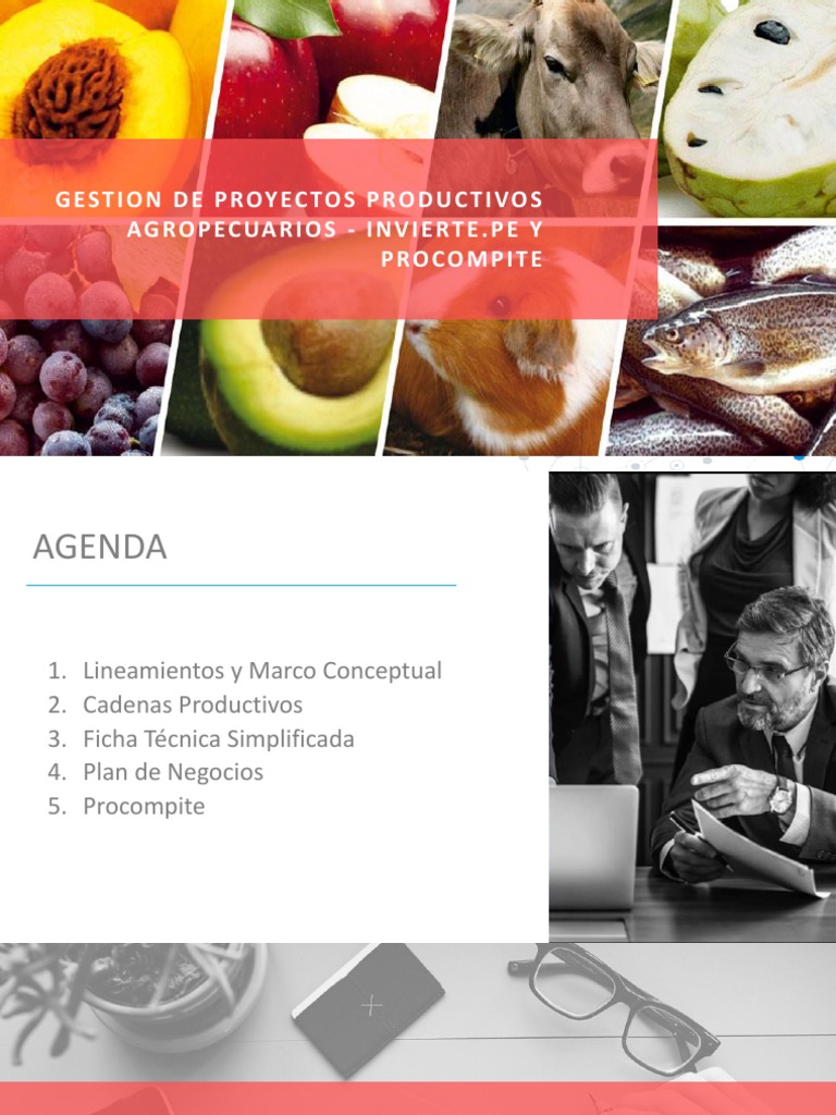 Proyectos Productivos | PDF | Plan de negocios | Innovación