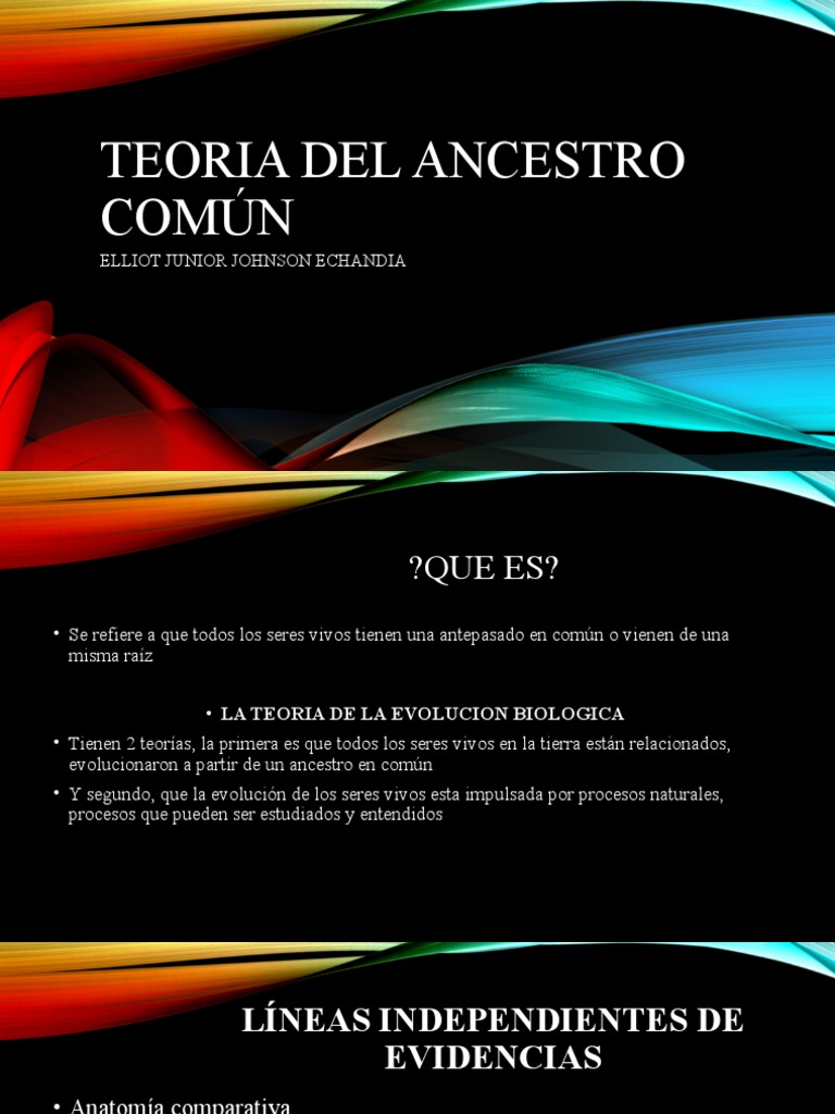 Evolución: Ancestro Común y Evidencias | PDF | Evolución | Mamíferos