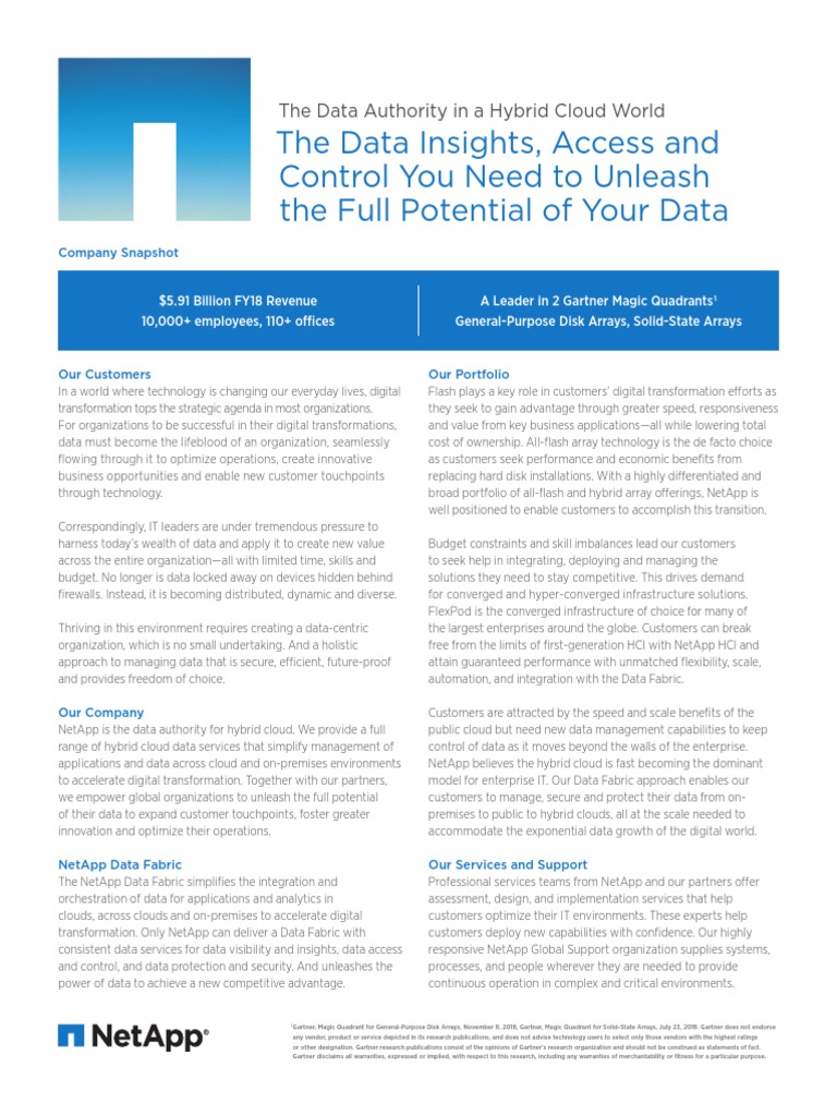 About Netapp | PDF | Cloud Computing | Computing