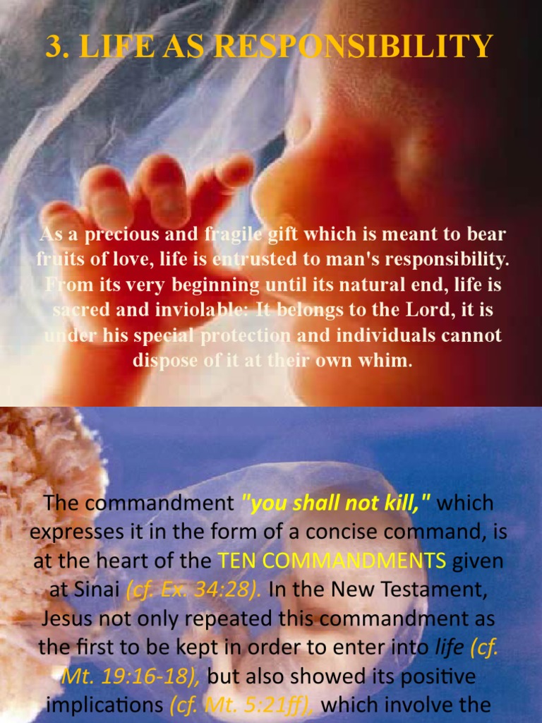 Inviolability of Life in Evangelium Vitae | PDF | Ten Commandments ...