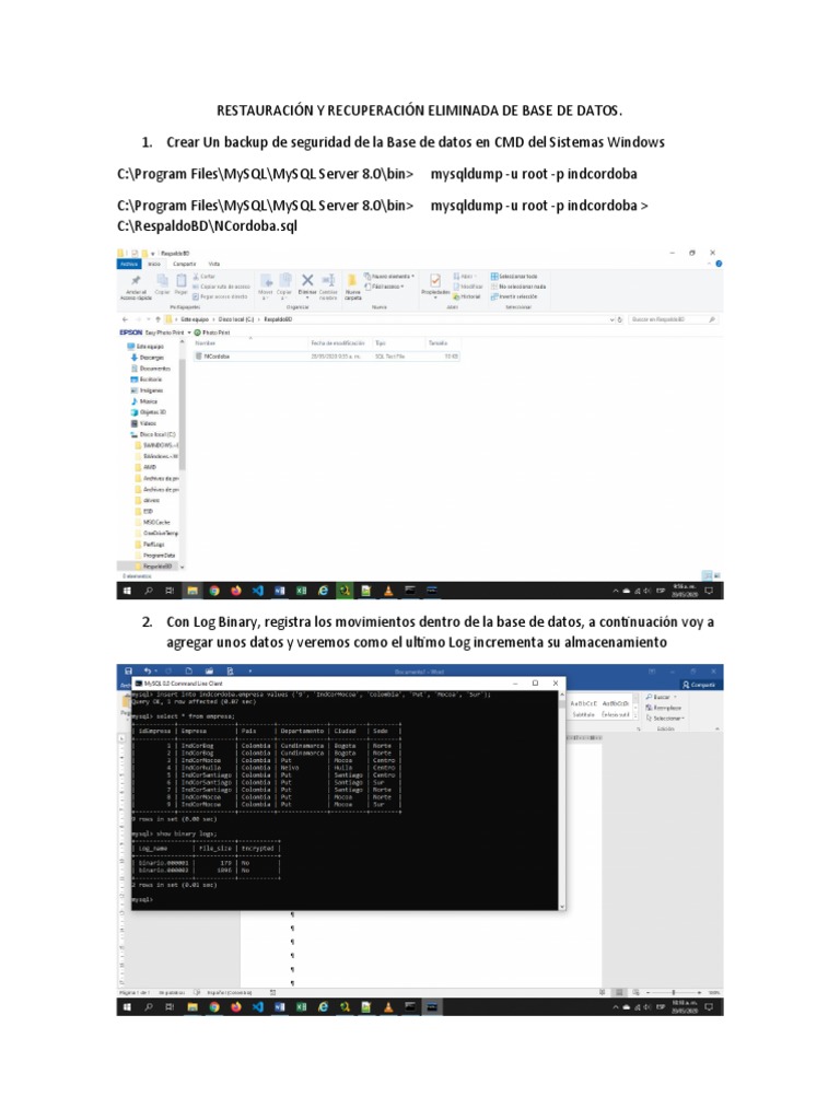 Restauración y Recuperación de Base de Datos | PDF