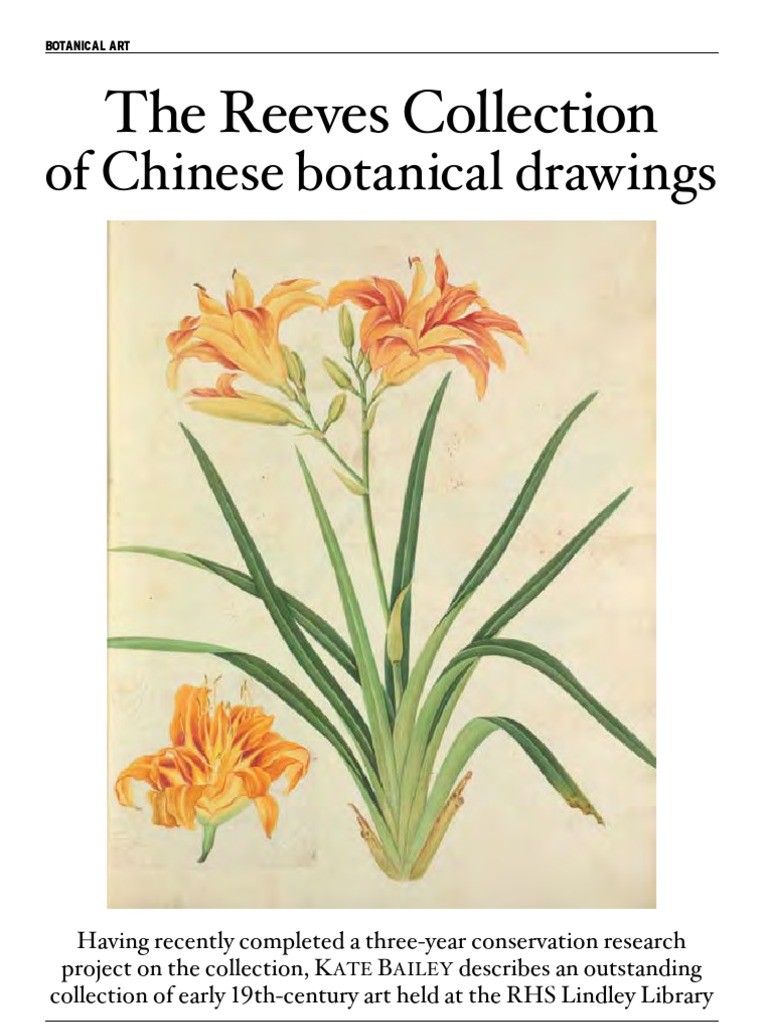 Chinese Botanical Drawings - Reeves Collection - RHS - Plantsman 2010 ...
