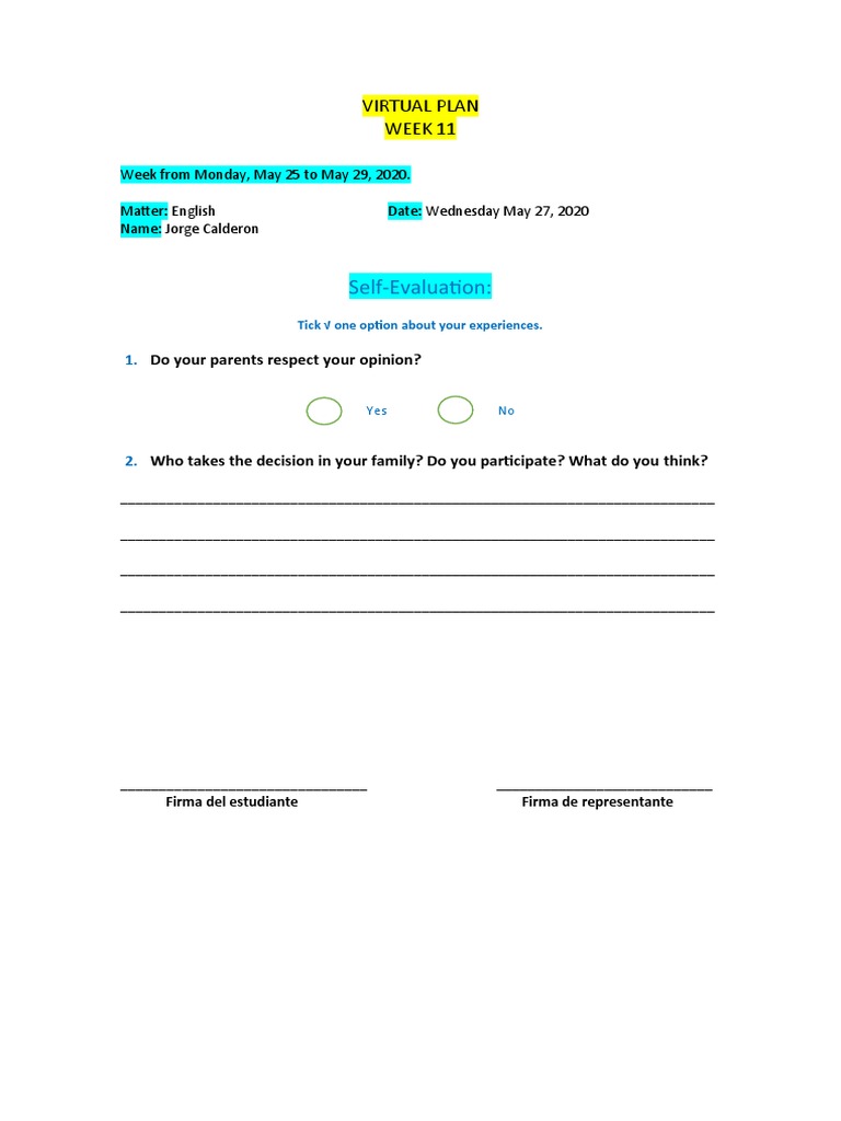 Self-Evaluation:: Virtual Plan Week 11 | PDF
