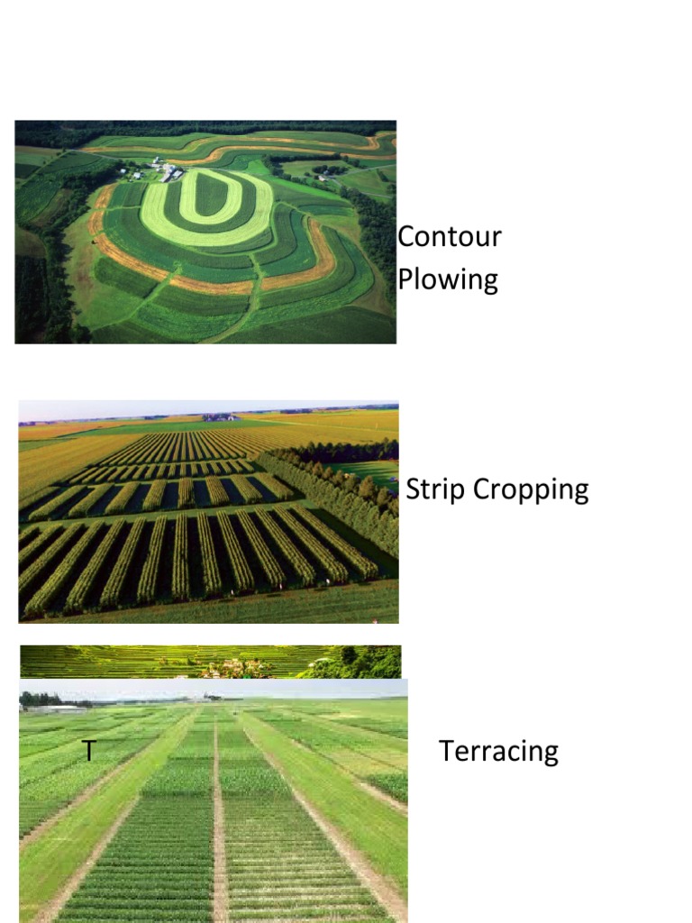 Contour Plowing | PDF