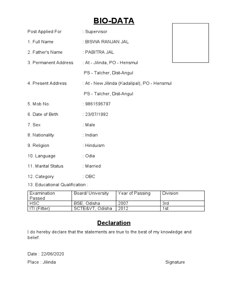 Biodata Single Page | PDF