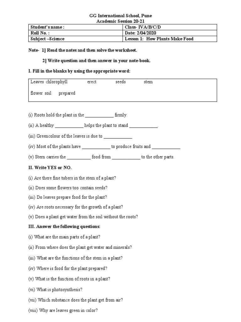Class 4 Worksheet: How Plants Make Food | PDF | Leaf | Plants