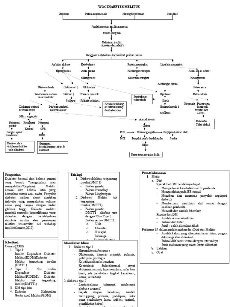 Woc Diabetes Melitus | PDF