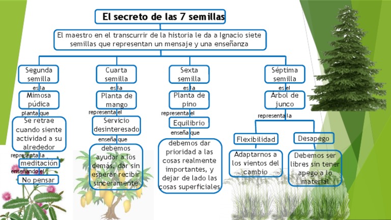 Esquema El Secreto de Las 7 Semillas | PDF