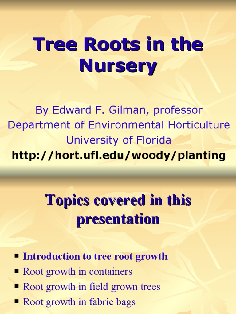 Tree Root Growth in Nurseries Explained | PDF | Root | Trees
