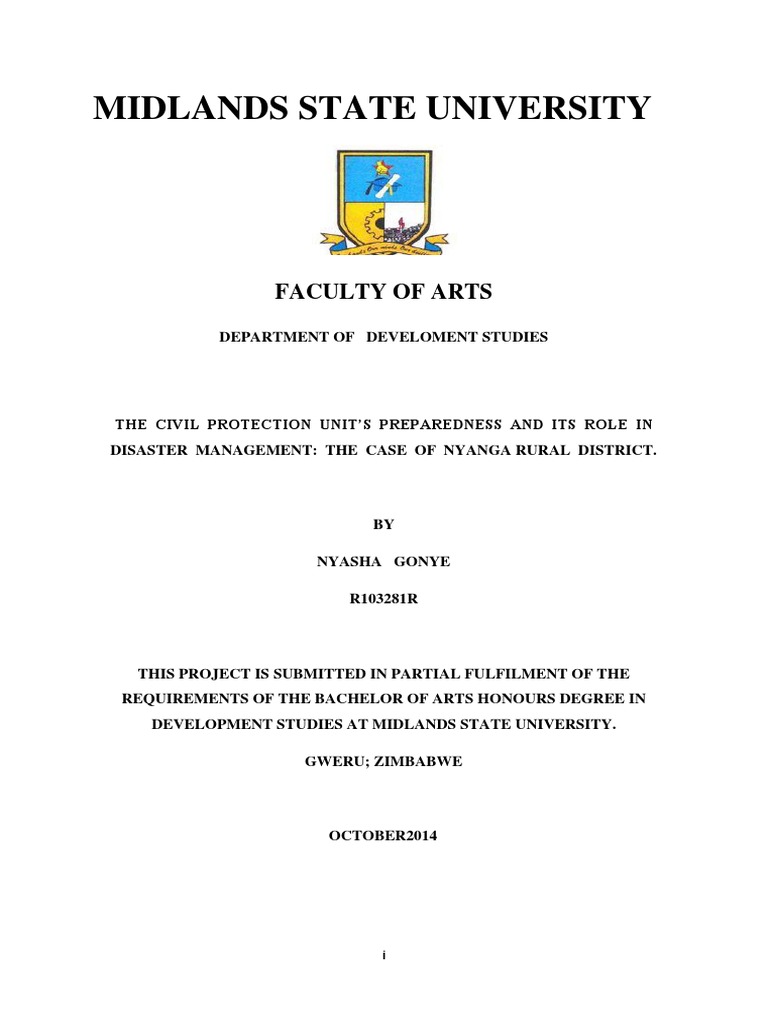 Nyanga Bus Disaster: Civil Protection Study | PDF | Emergency ...