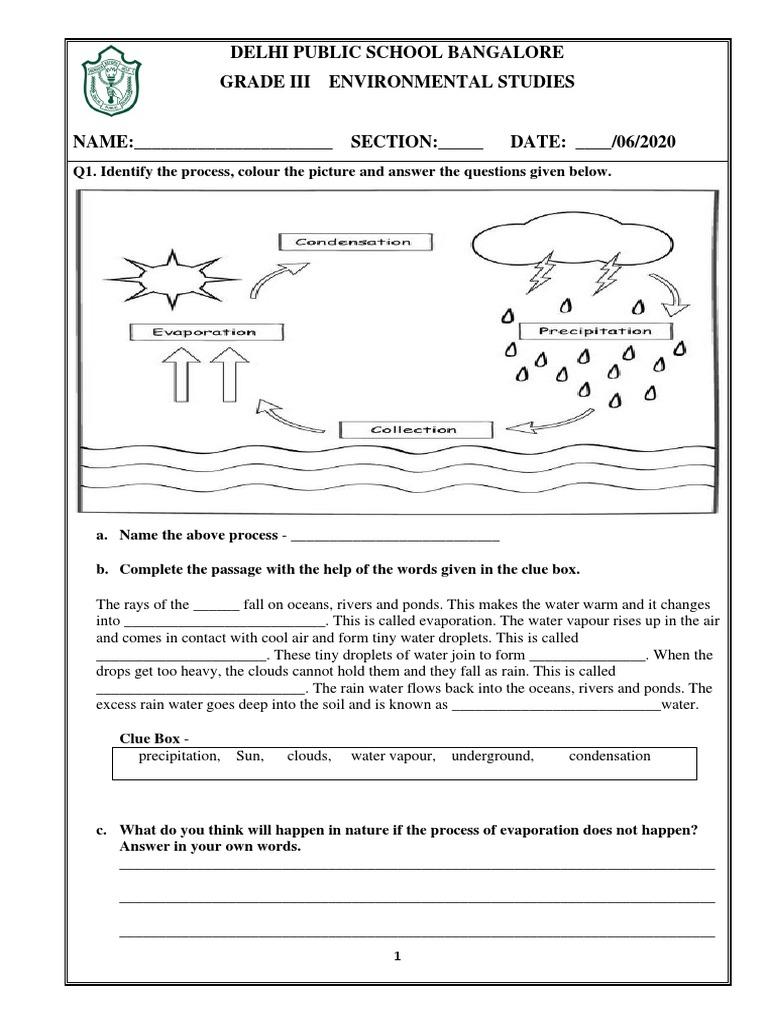 Water Cycle and Evaporation Worksheet | PDF | Water Vapor | Rain