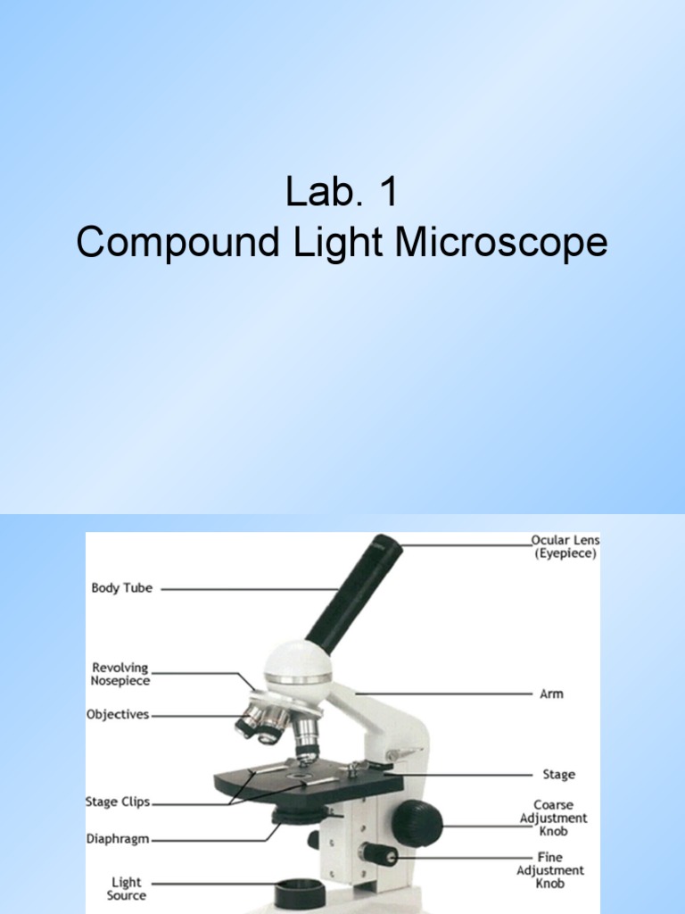 Compound Light Microscope Lab Guide | PDF