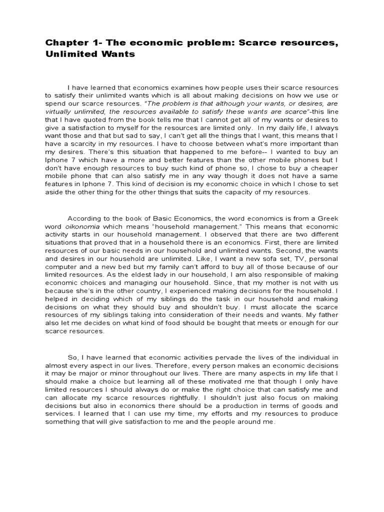 Reflection Paper On Economics | PDF | Demand | Perfect Competition