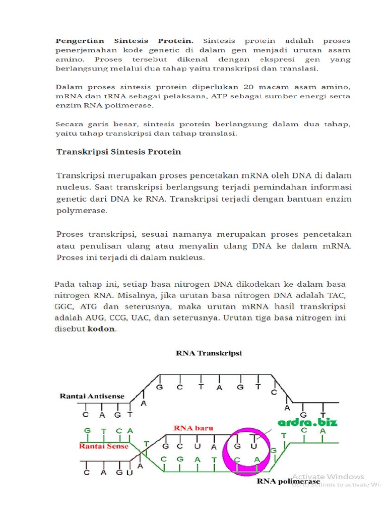 Penjelasan Video - Transkripsi Dan Translasi | PDF