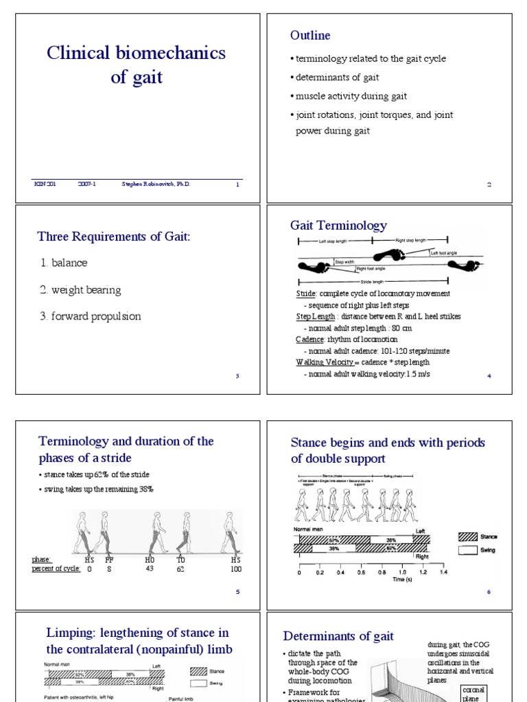 Clinical Biomechanics of Gait: Outline | PDF | Anatomical Terms Of ...