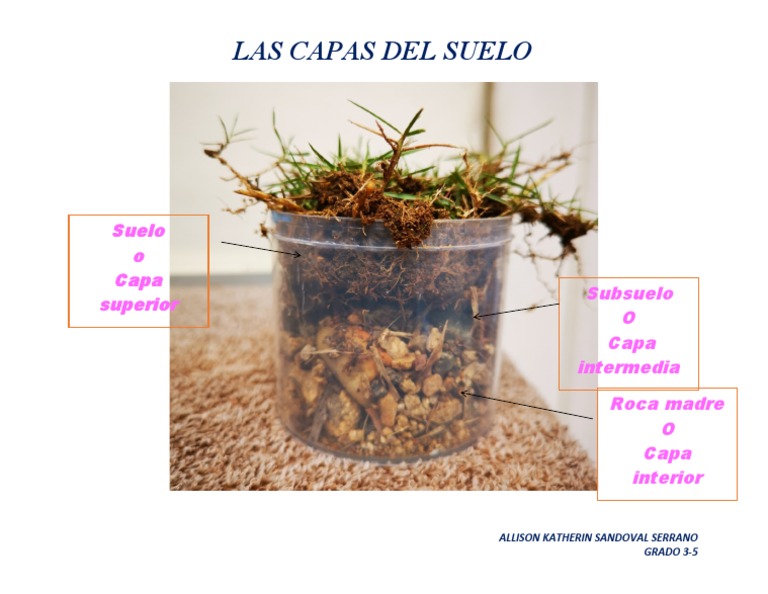 Capas del Suelo: Estructura y Tipos | PDF