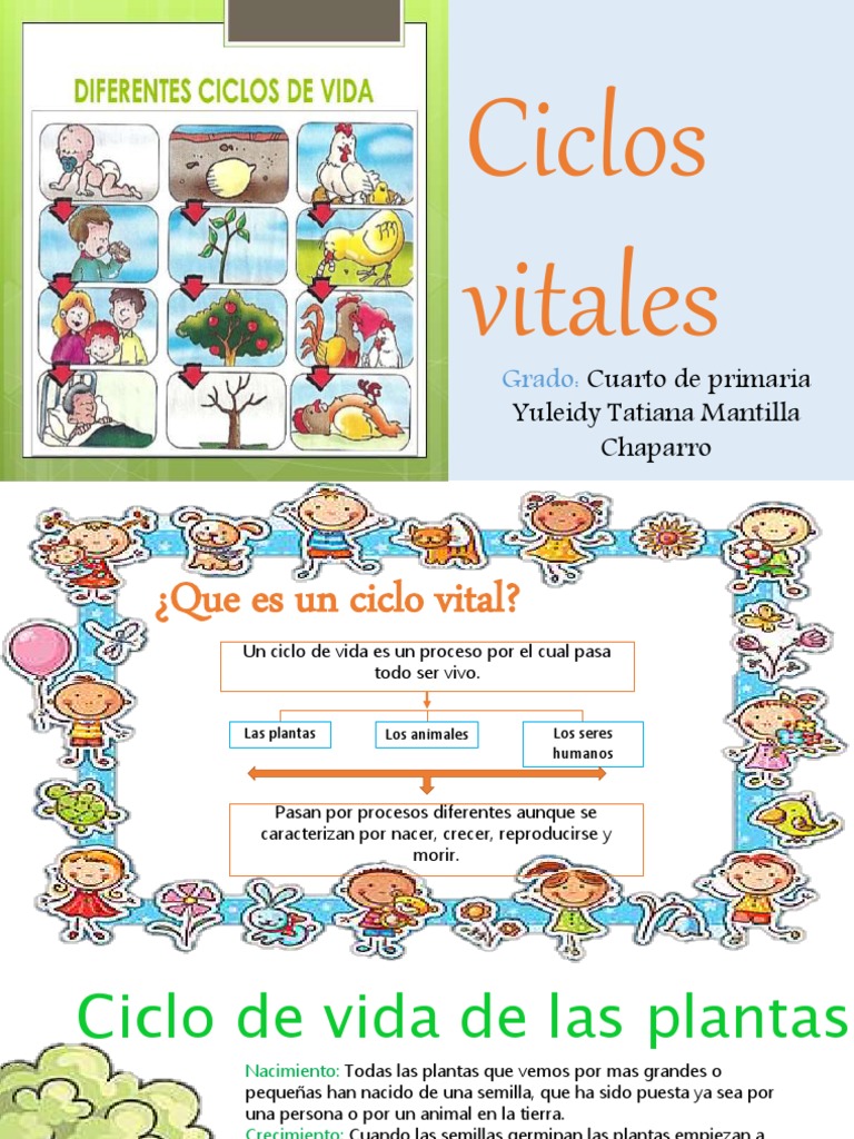 Ciclo Vital de Los Seres Vivos 2 | PDF | Reproducción | Plantas