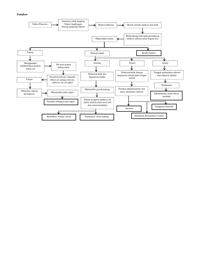 Pathway Difteri | PDF