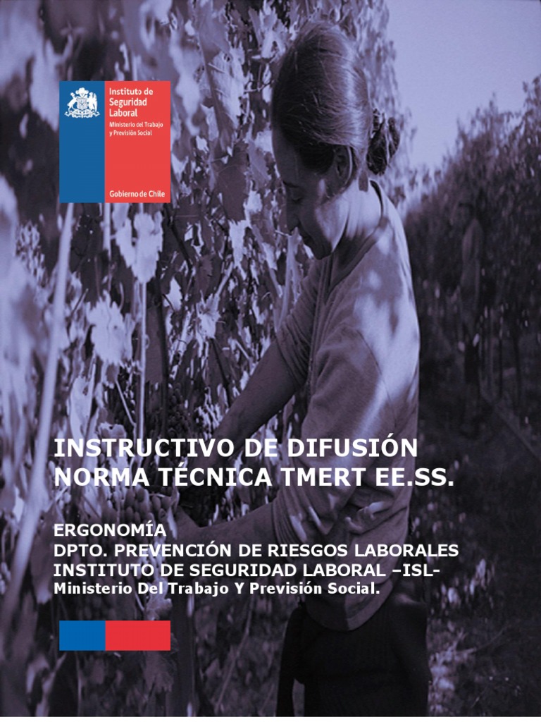 Instructivo de La Difusión Norma Tec. Tmert Ee - Ss. Isl (Material Apoyo) PDF | PDF | Seguridad ...