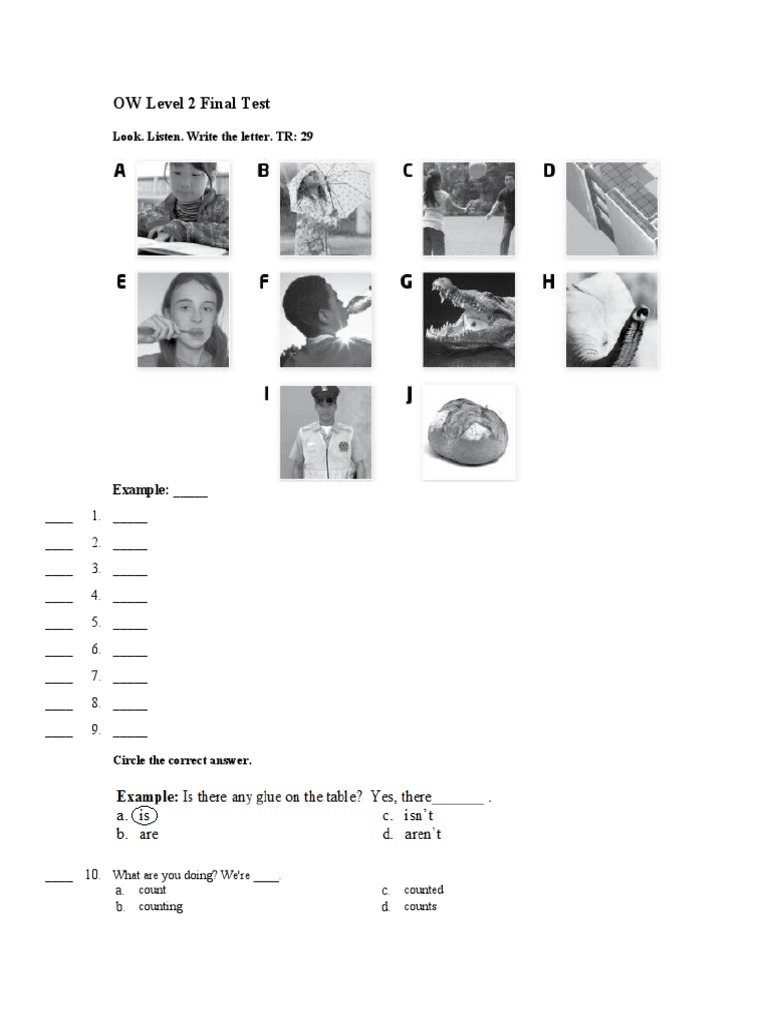 Our World Level 2 Final Test | PDF