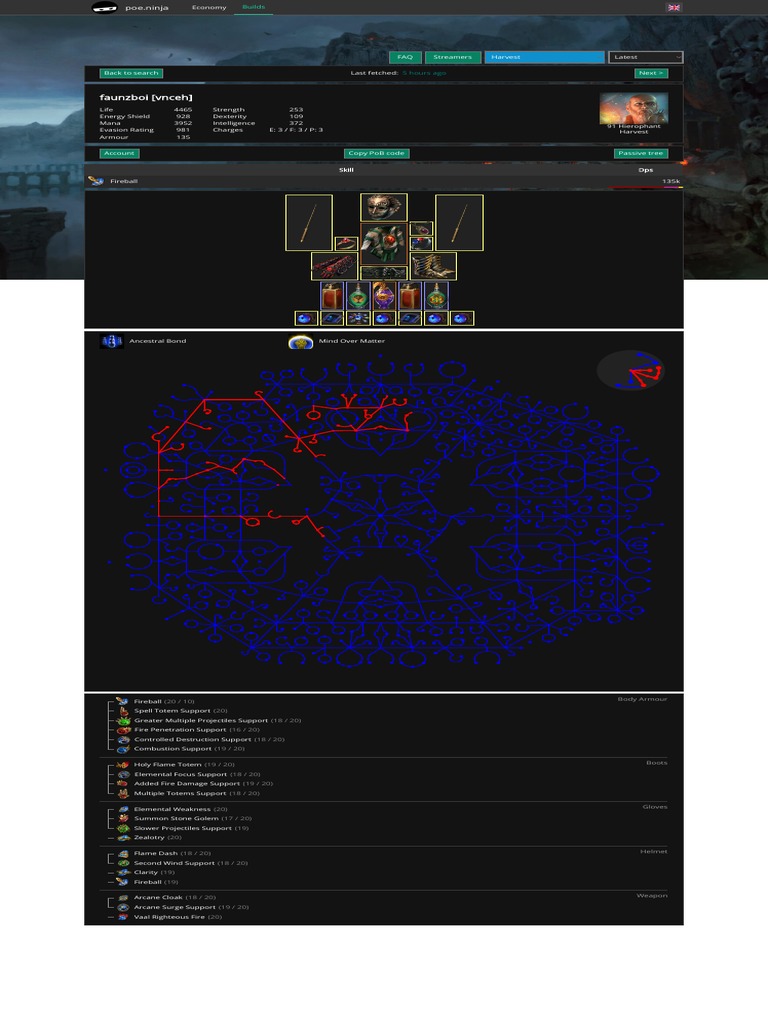 Builds - Faunzboi - Poe - Ninja | PDF | Sports | Nature