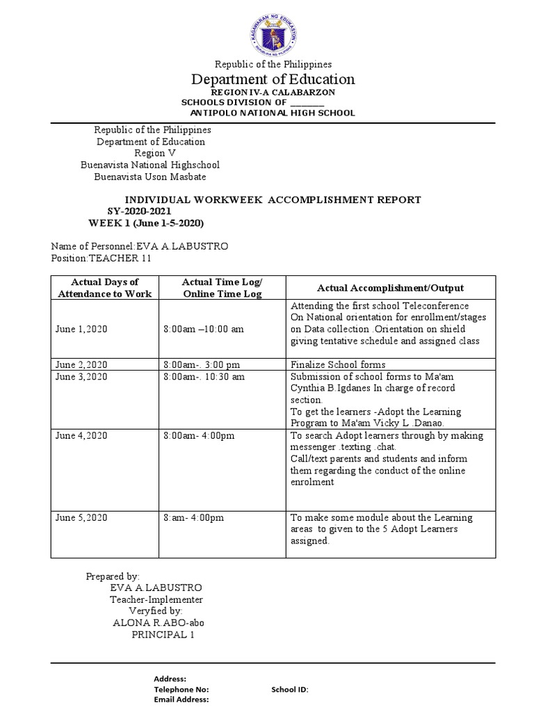 Individual Daily Log and Accomplishment Report | PDF | Behavior ...