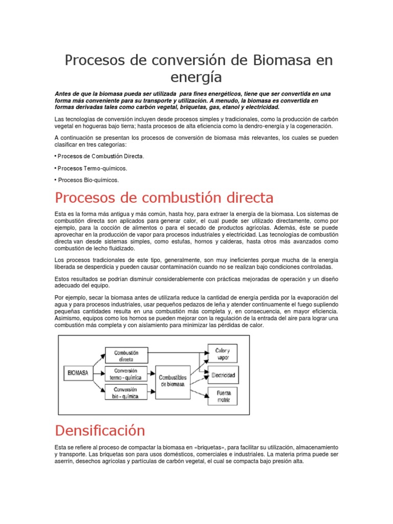 Procesos de Conversión de Biomasa en Energía | PDF | Bioenergía | Recursos energéticos
