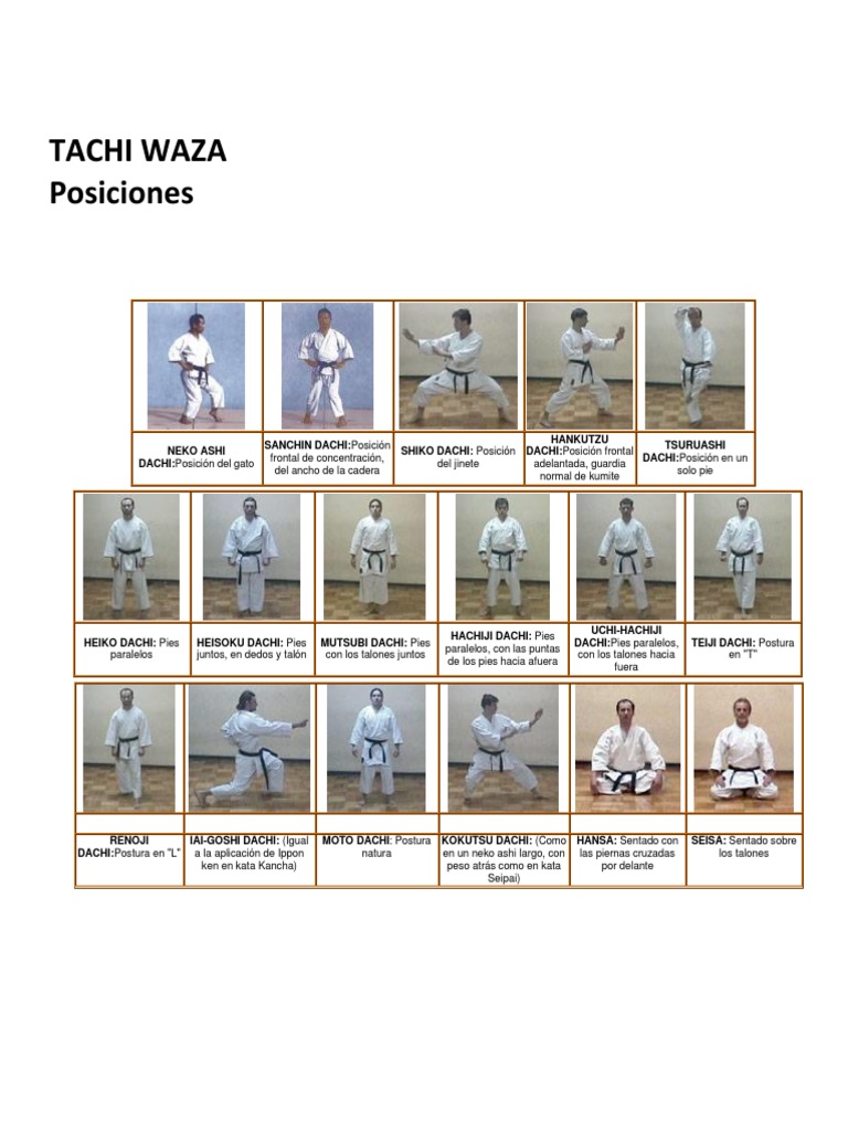 Posiciones y Bloqueos en Karate Shotokan | PDF | Kárate | Sistema ...