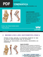 Modelo de Hill en contracción muscular | PDF | Músculo esquelético | Actina