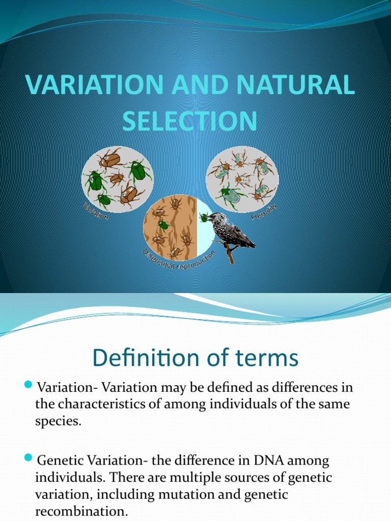 Natural Selection 2.5 | PDF | Evolution | Genetics