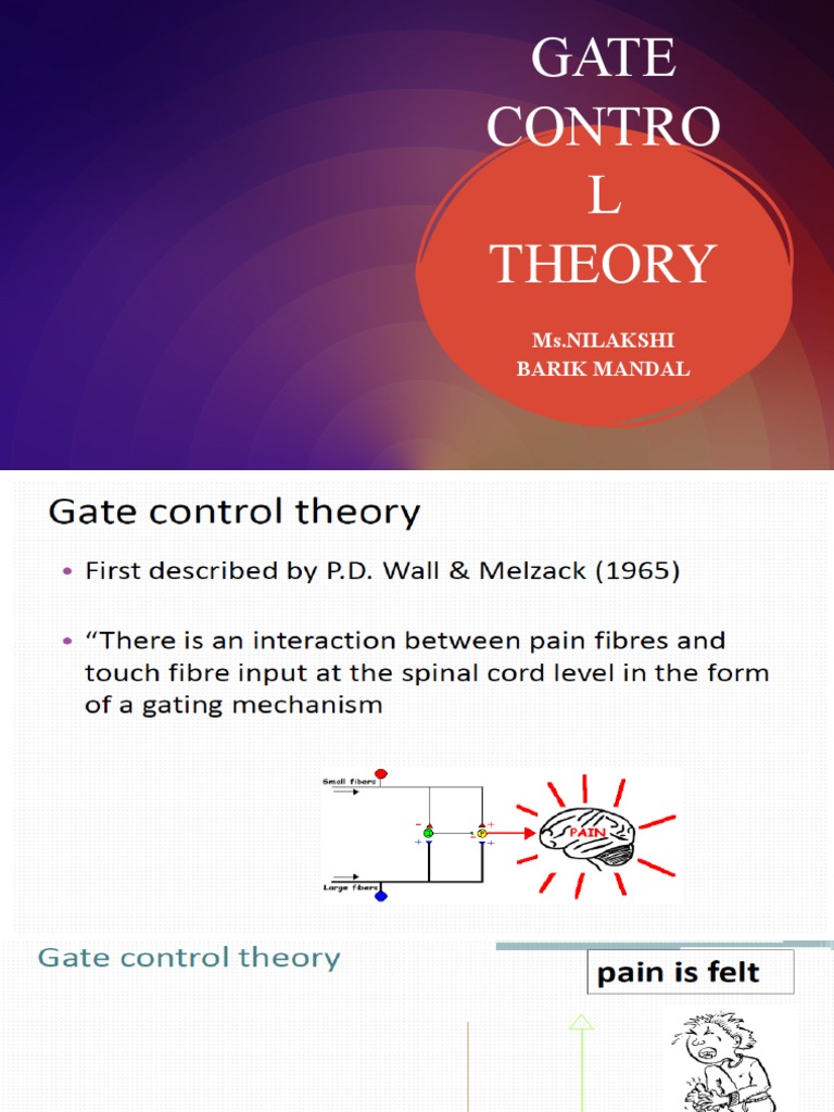 Gate Control Theory | PDF