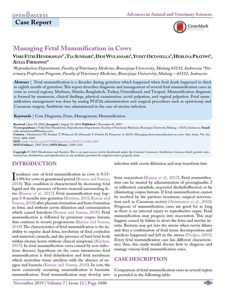 Managing Fetal Mummification in Cows: Case Report | PDF | Fetus | Uterus