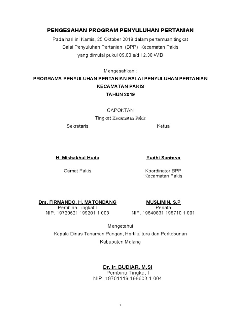 Lembar Pengesahan Programa 2019 | PDF