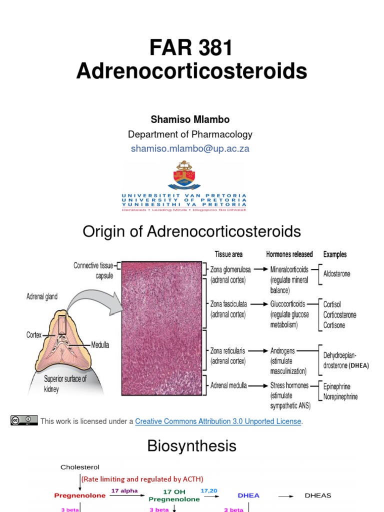 Adrenocorticosteroids | PDF | Glucocorticoid | Adrenal Gland