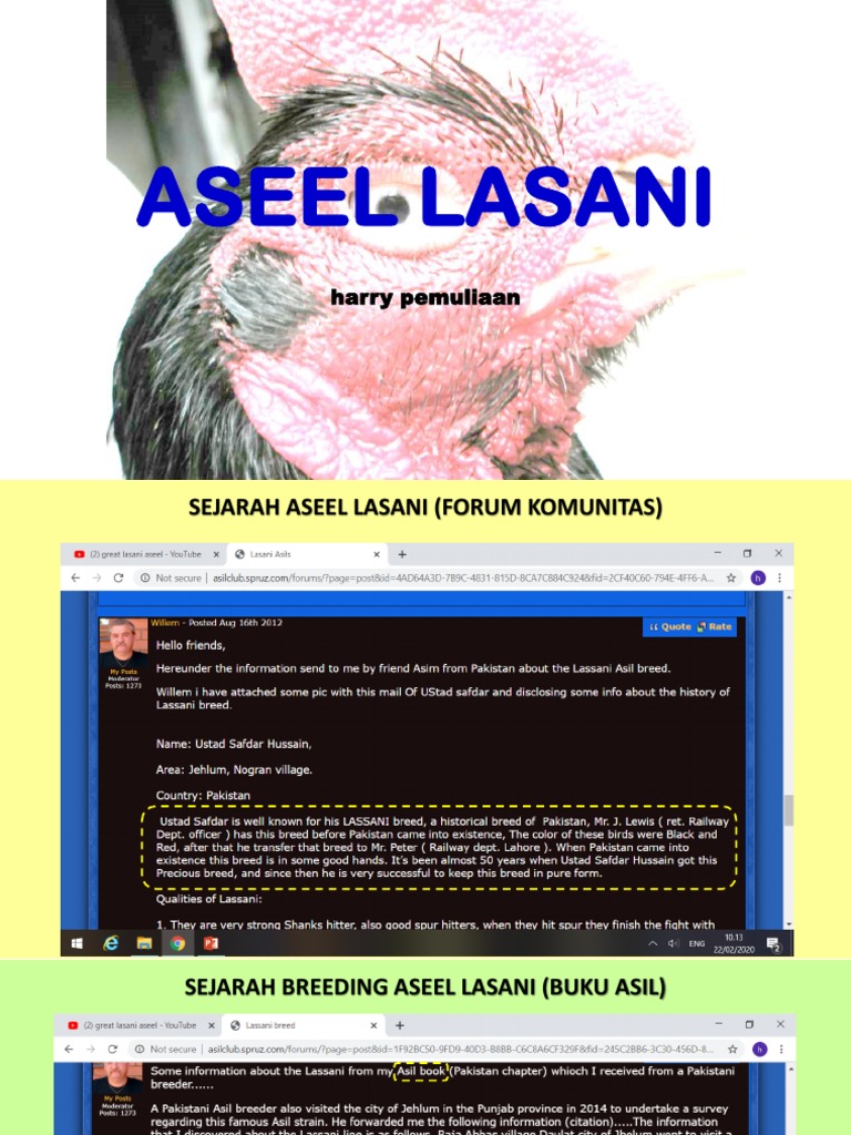 Lassani Aseel | PDF