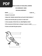 Birds and Beak Worksheet Class4 | PDF
