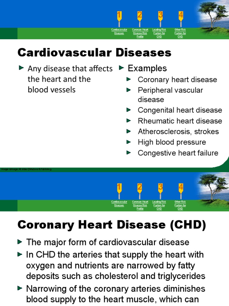 Cardiovascular Diseases: Any Disease That Affects The Heart and The ...