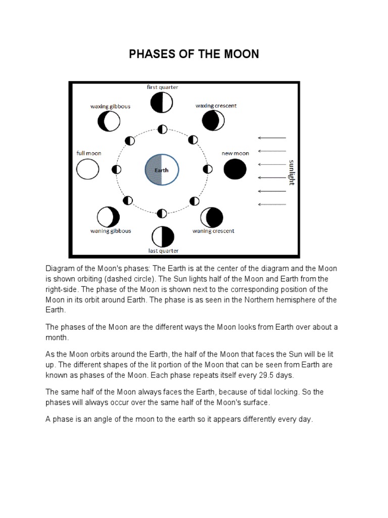 PHASES OF THE MOON and ACT. SHEET | Download Free PDF | Moon | Solar System