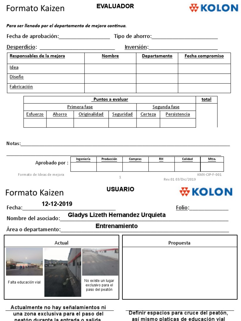 Formato KAIZEN | PDF | Naturaleza