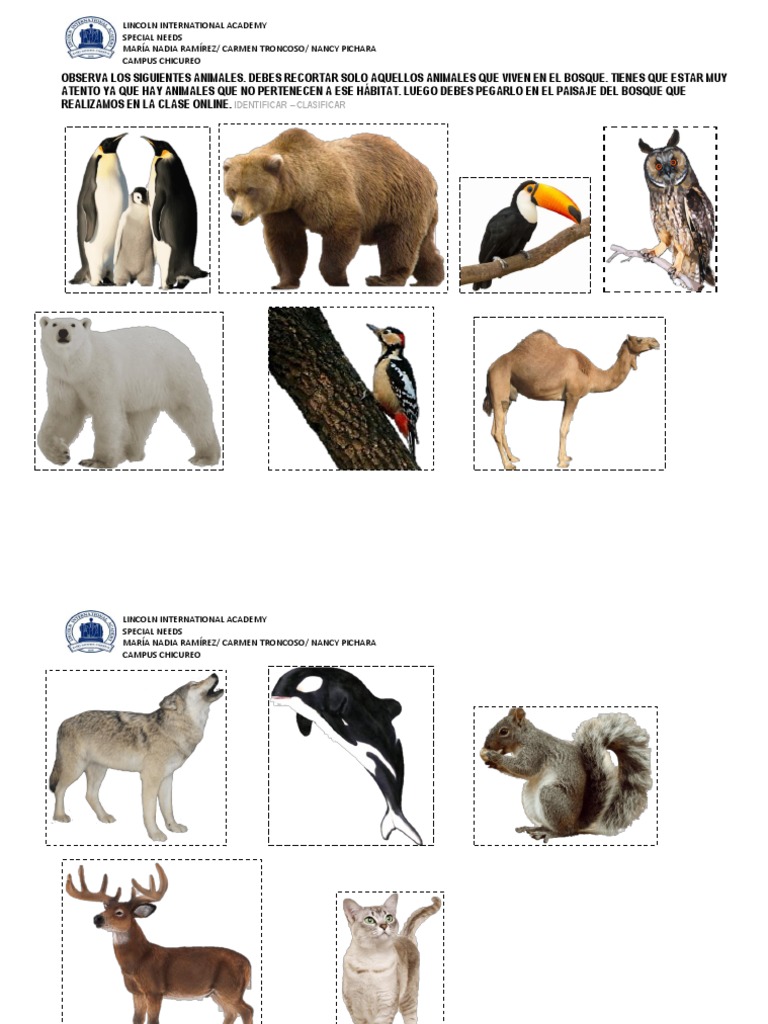 Science - RECORTAR ANIMALES DEL BOSQUE PDF | PDF