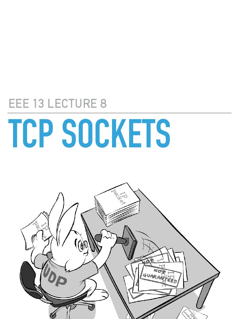 Lec8 EEE13 2s1617 | PDF | Network Socket | Port (Computer Networking)