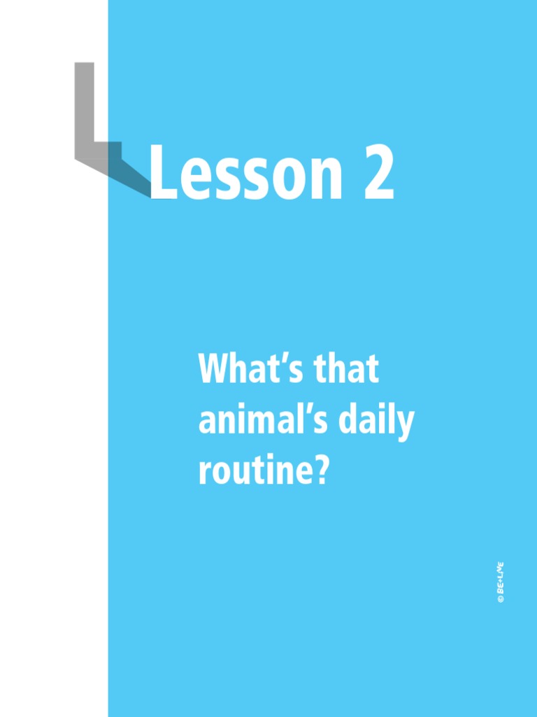 Lesson 2: What's That Animal's Daily Routine? | PDF | Rainforest ...